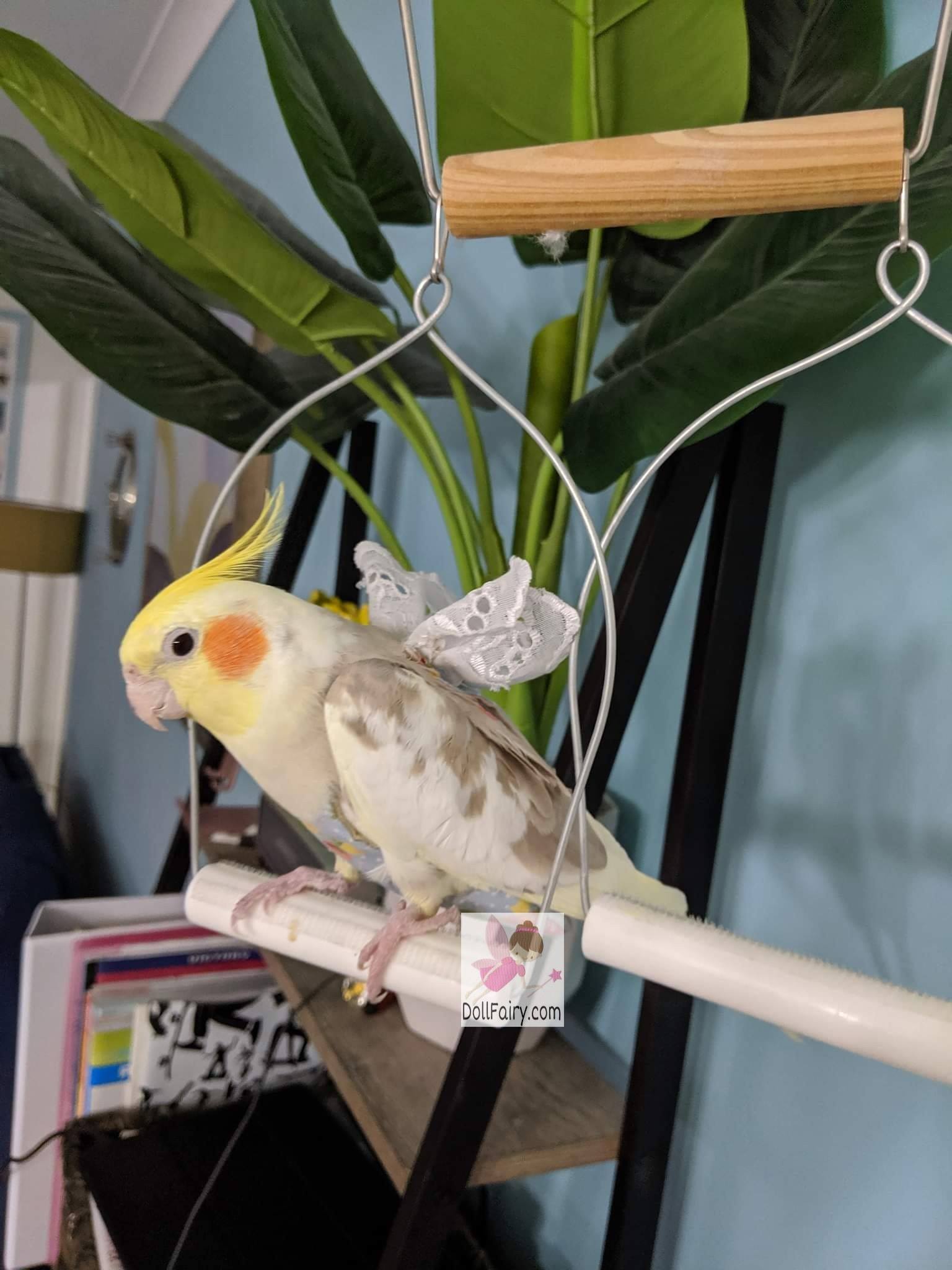 Bird Diaper Flight Suit With Angelic Fairy Wings – DollFairy