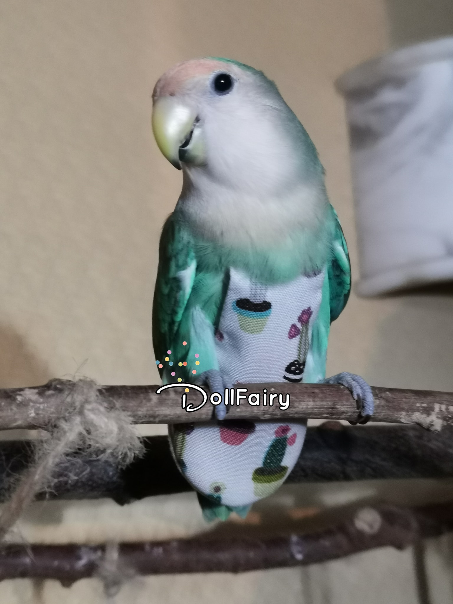 Bespoke Bird Diaper Suit – DollFairy